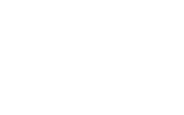 What is a Disney ILS Audit? (Audit Process, Check List, and Precautions ...