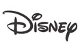 What is a Disney ILS Audit? (Audit Process, Check List, and Precautions ...